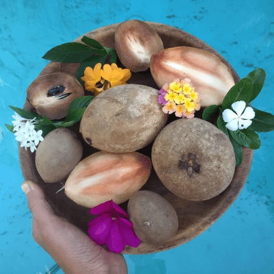 Large Sapodilla Box (8-10 lbs.) | SnackMagic | Build your own 100% ...